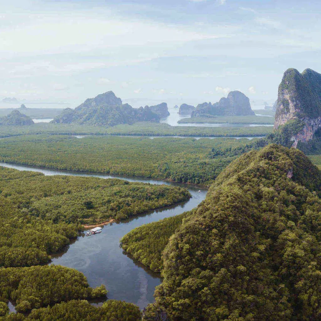 Simba Sea Trips Gallery: Dive into Captivating Moments