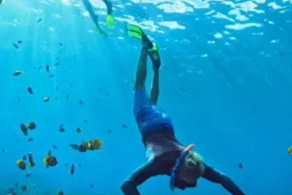 Simba Sea Trips Gallery: Dive into Captivating Moments