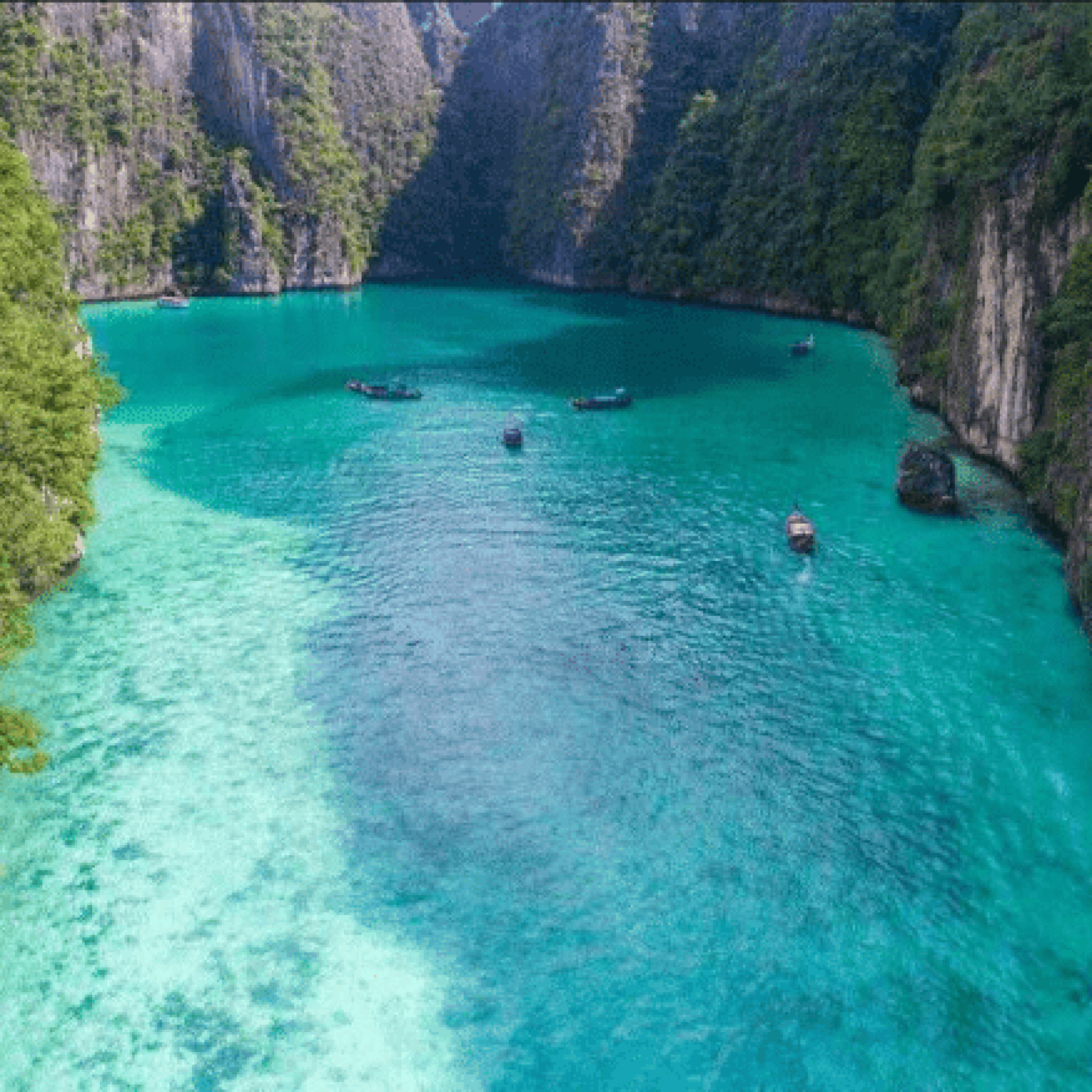 Simba Sea Trips Gallery: Dive into Captivating Moments