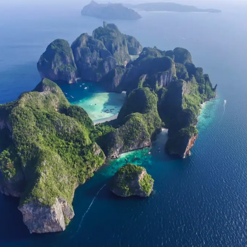 Simba Sea Trips Gallery: Dive into Captivating Moments