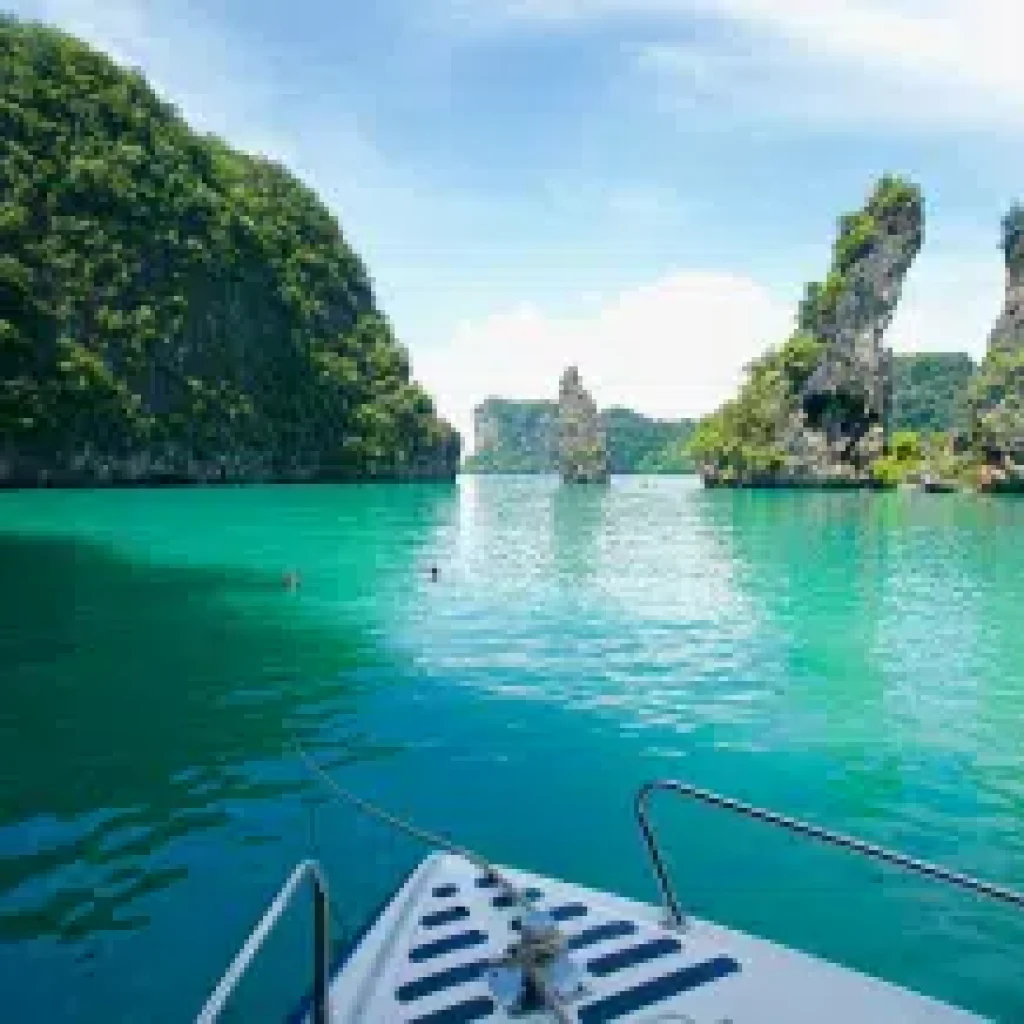 Simba Sea Trips Gallery: Dive into Captivating Moments