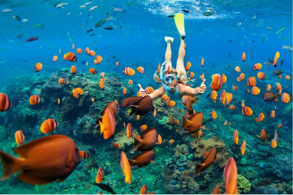 Best Snorkeling Spots in Thailand - Simba Sea Trips